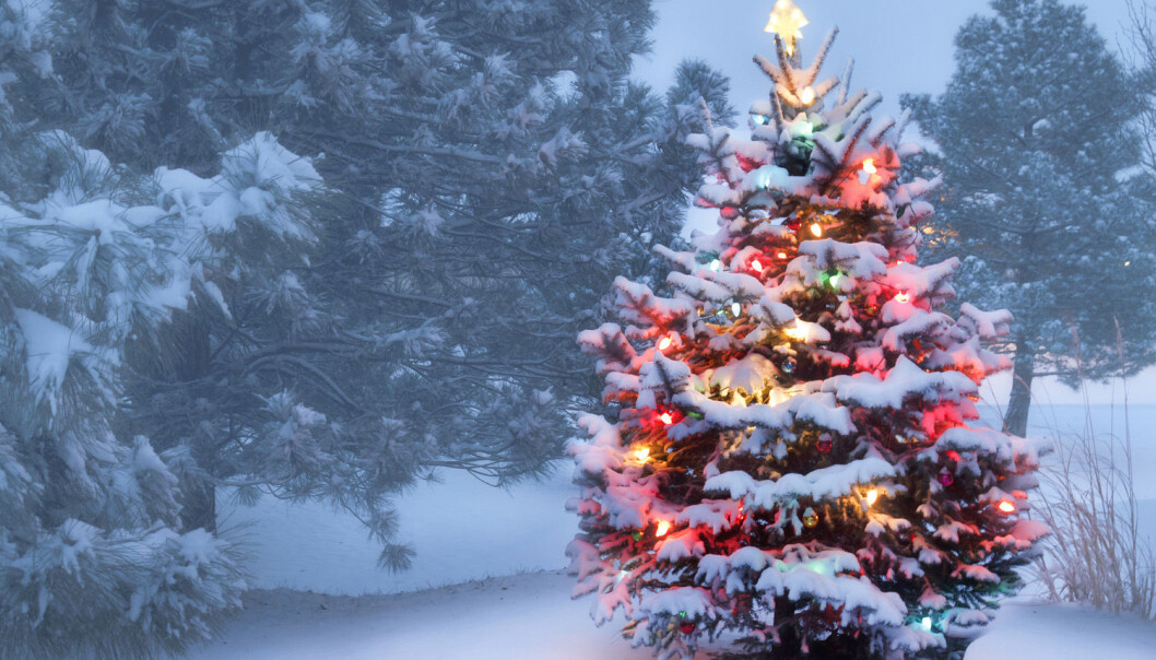 Fant julestemning i hjernen