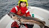 This is how you catch a hake, a common fish you've probably never ...
