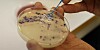 The Strange And Deadly Consequences Of Bacterial Sex